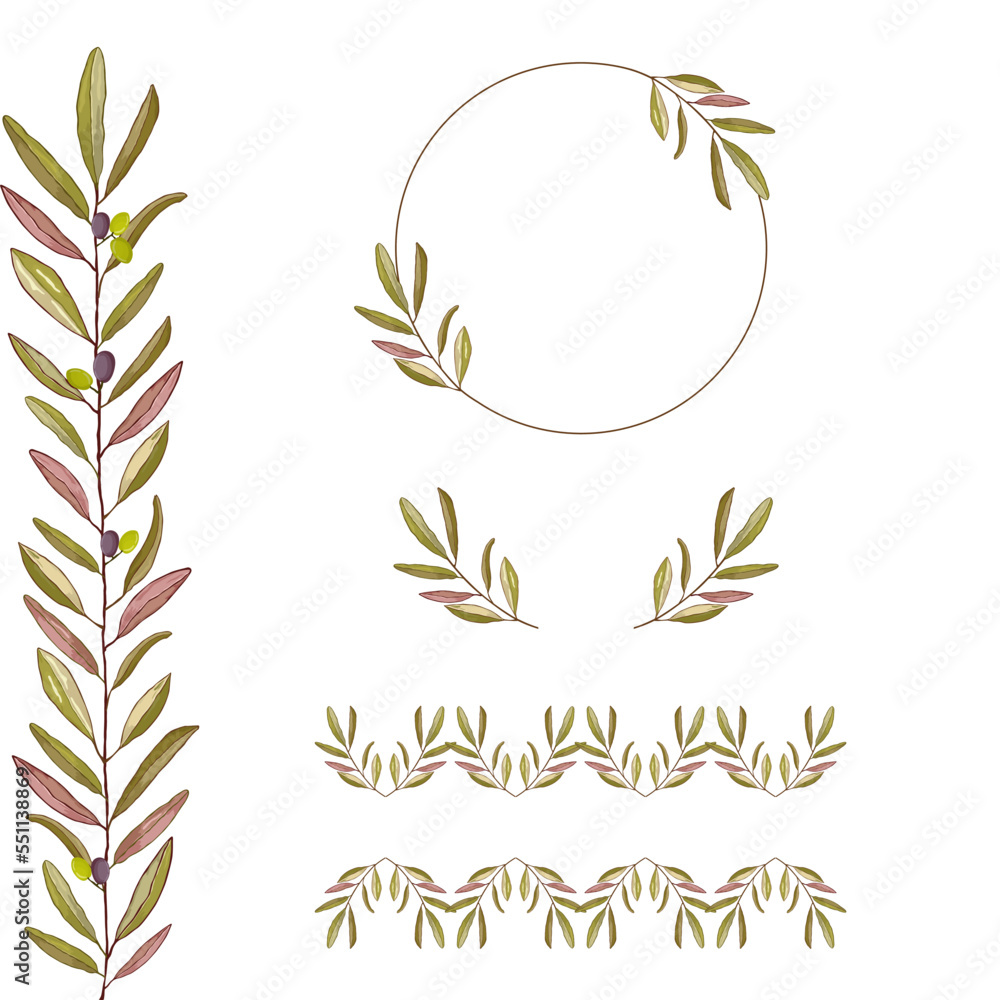 Dibujo vectorial de rama de olivo. Hojas de olivo. Stock Vector | Adobe ...