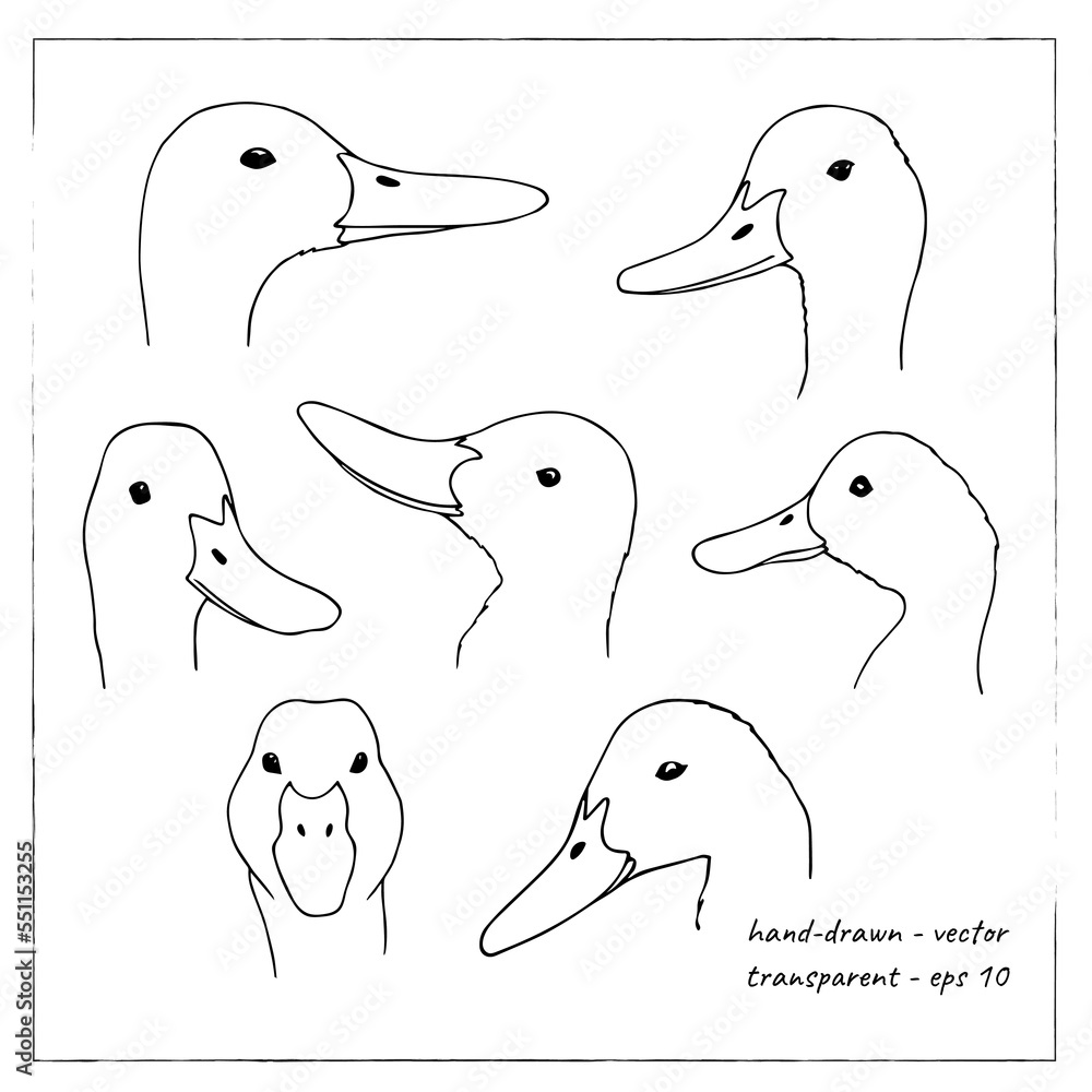Hand-drawn duck. Set of doodle duck heads. Collection of duck ...