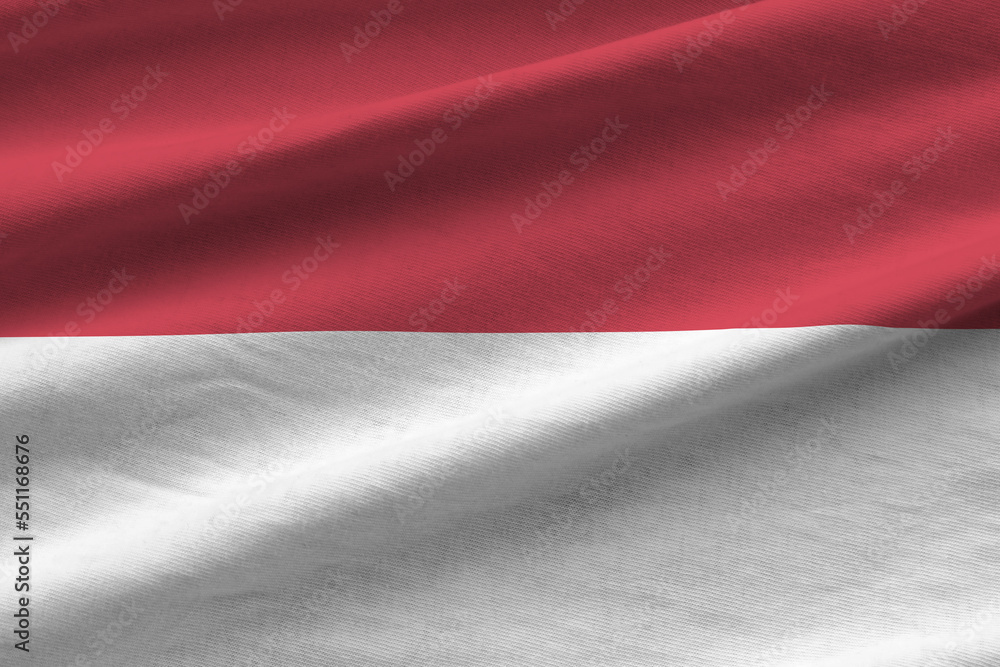 Monaco flag with big folds waving close up under the studio light ...