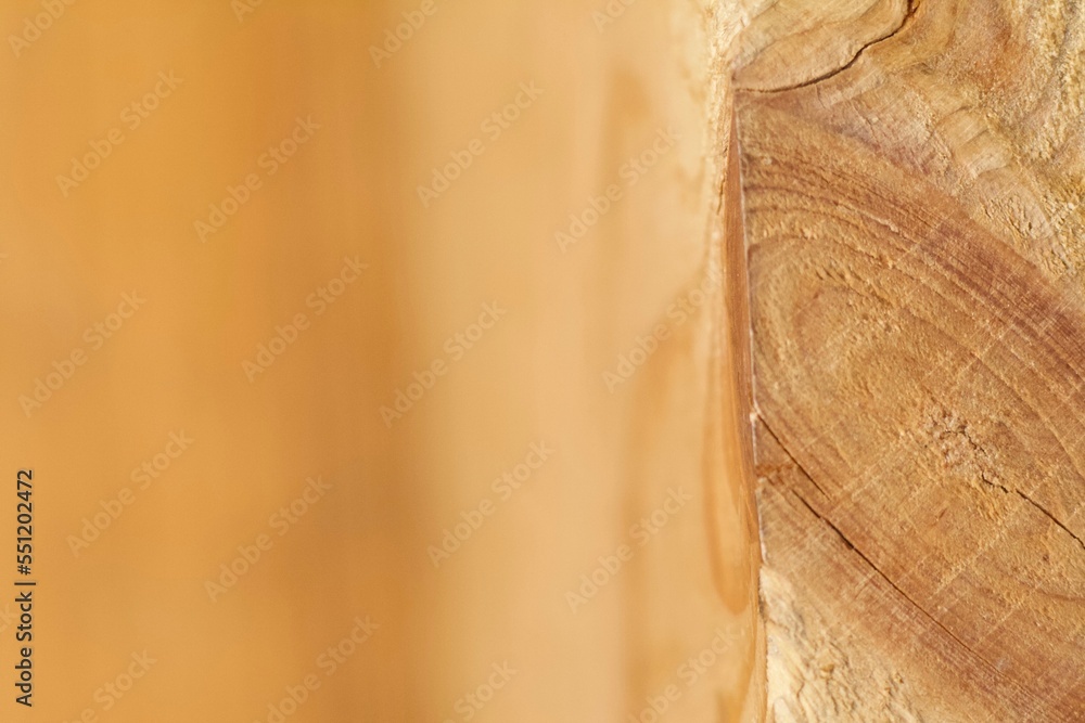 wood wood wood texture background tree substrate wood wood fiber wood ...