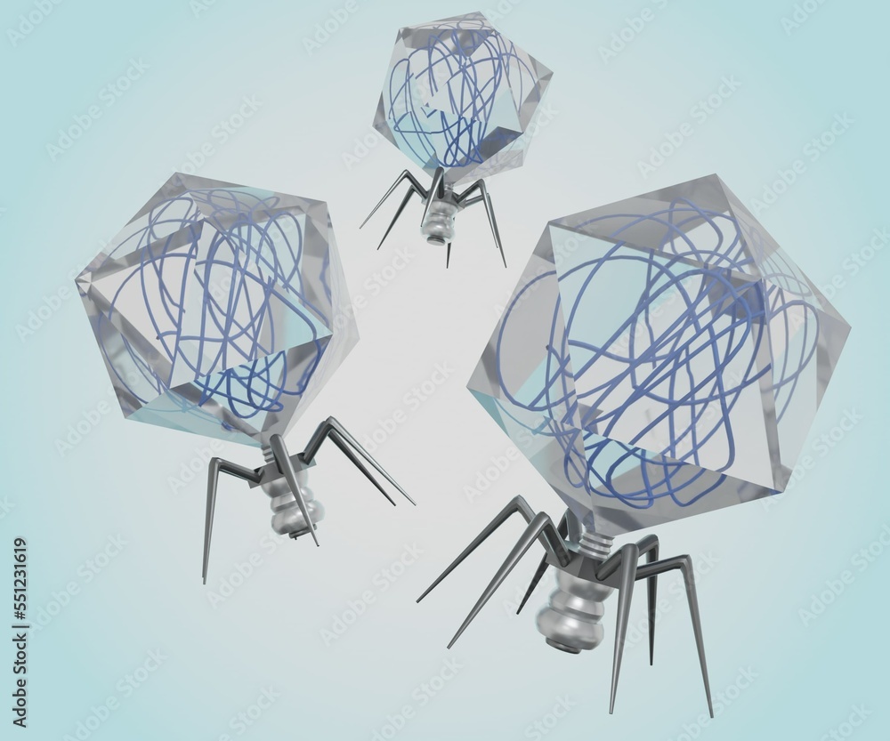 Podoviridae is a family of bacteriophage often associated with T7 like ...