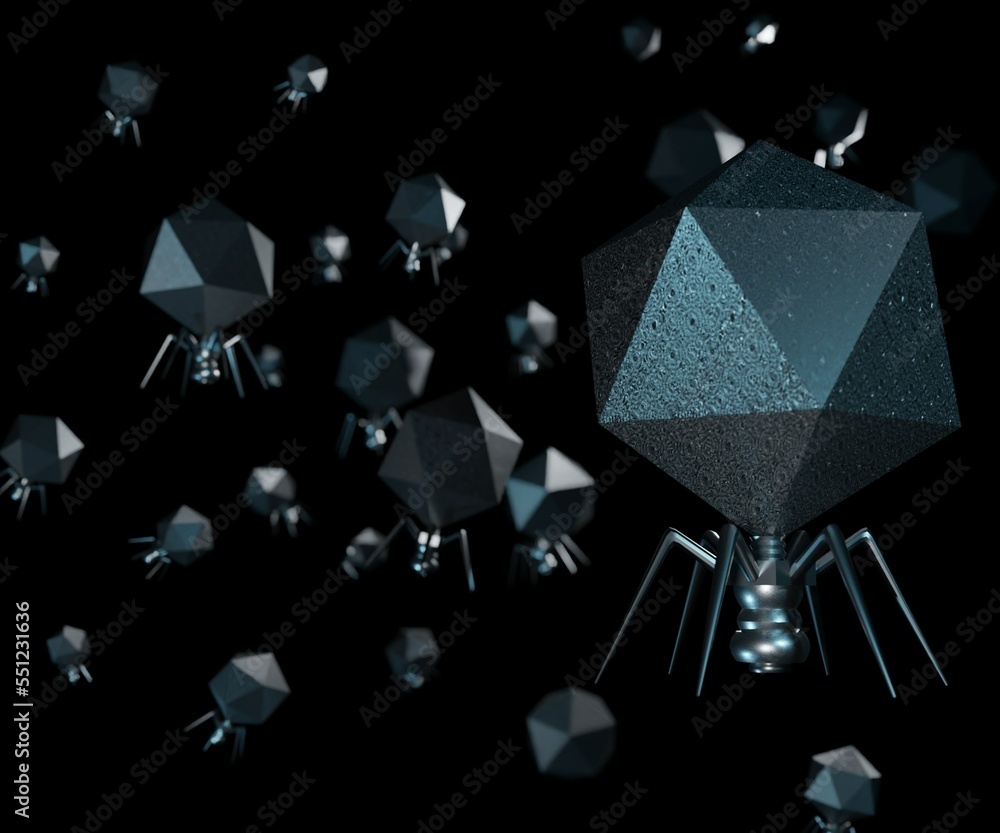 Podoviridae is a family of bacteriophage often associated with T7 like ...