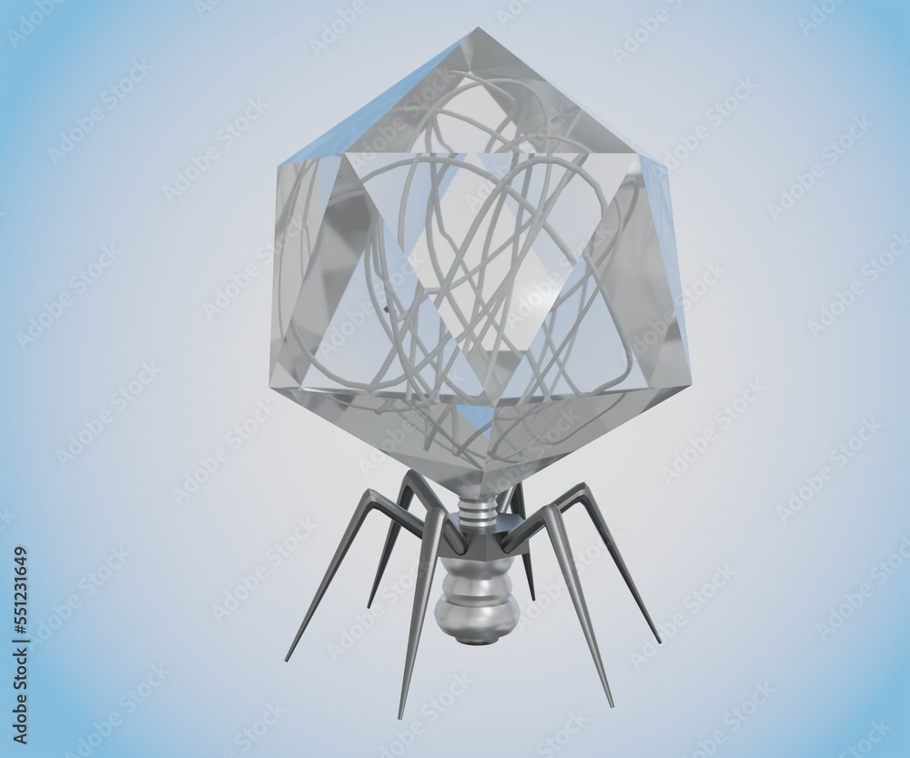 Podoviridae is a family of bacteriophage often associated with T7 like ...