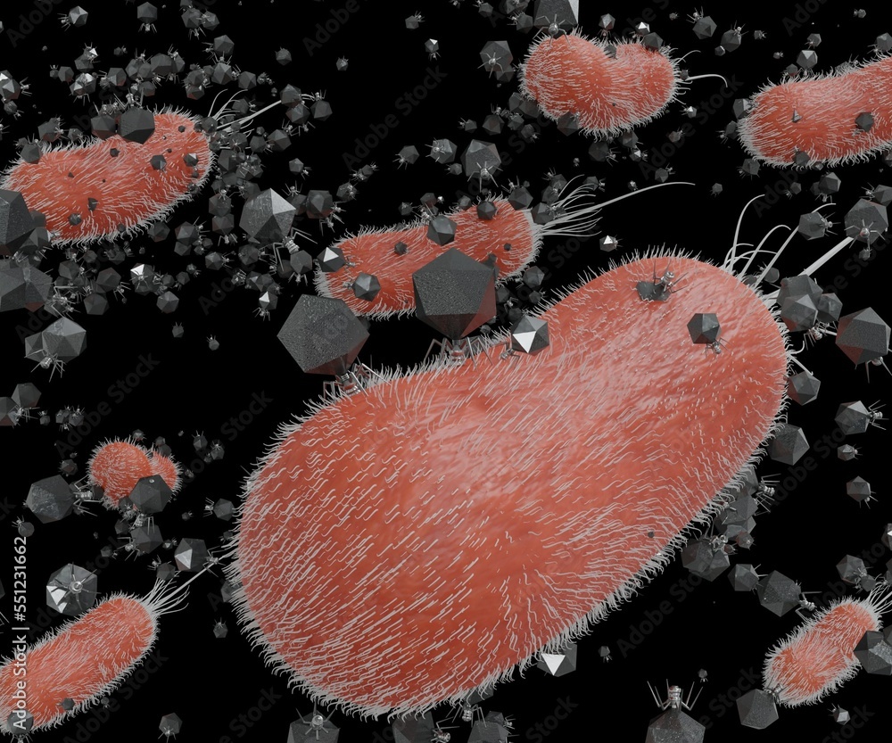Podoviridae T7 bacteriophage is ainfecting pseudomonas bacteria 3d ...