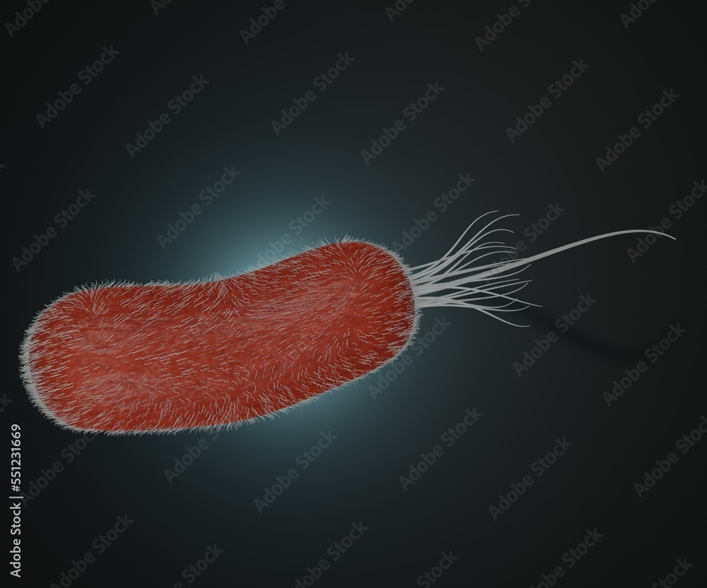Isolated Pseudomonas aeruginosa is a common encapsulated, rod-shaped ...