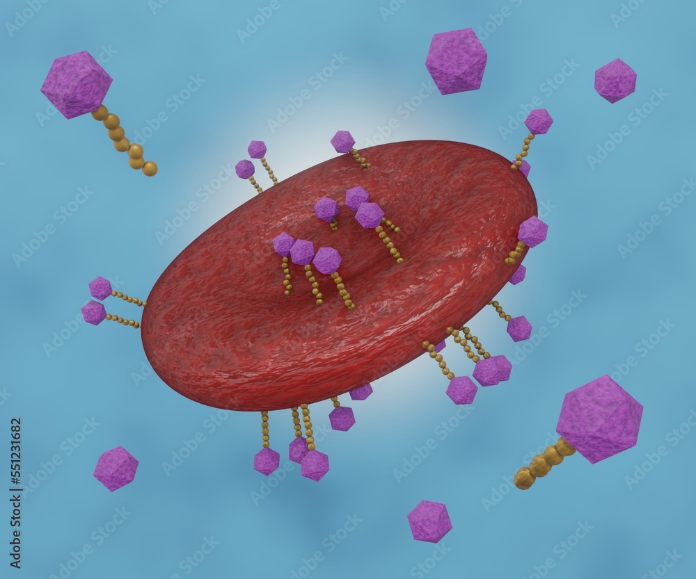 Loading drugs or nanodrugs into the carrier Red Blood Cells (RBC ...