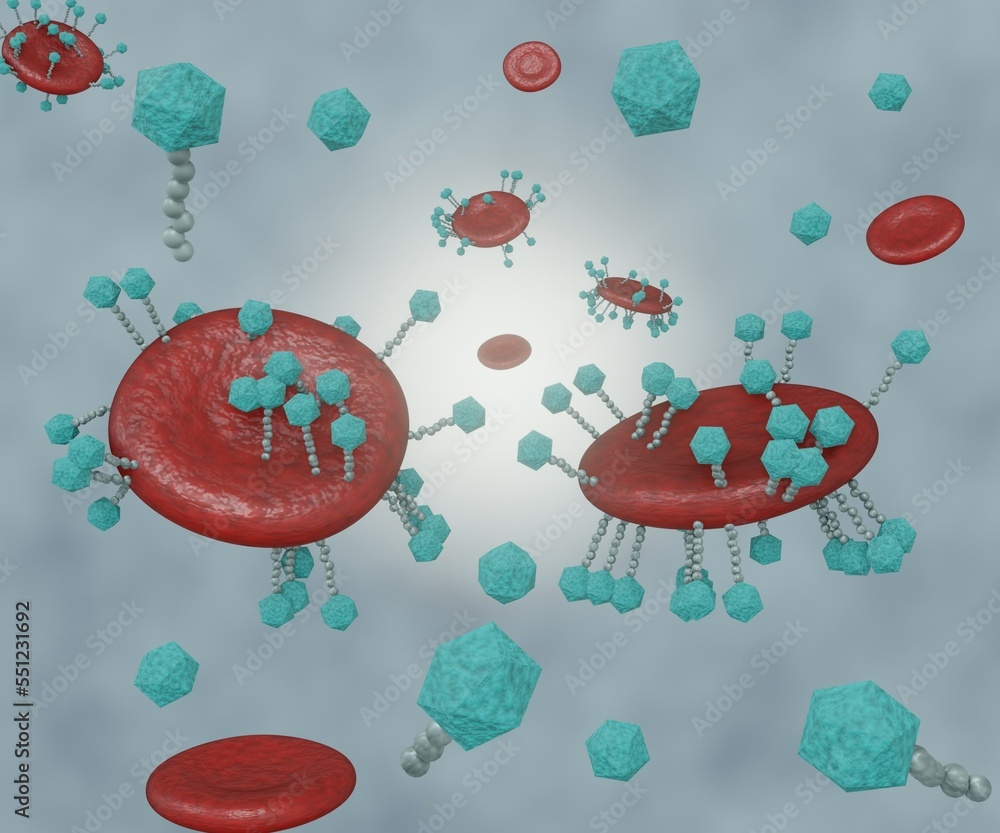 Loading drugs or nanodrugs into the carrier Red Blood Cells (RBC ...