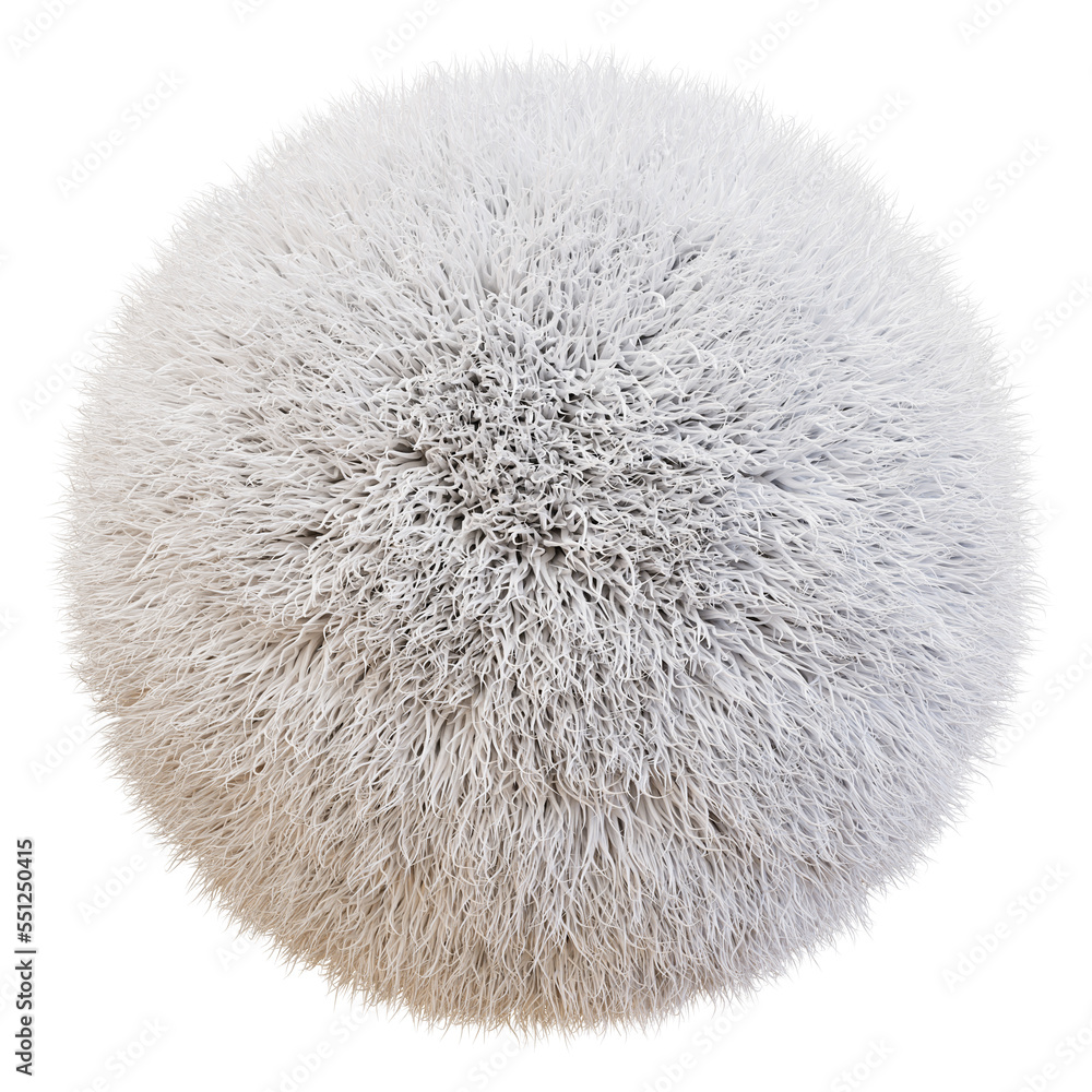 White color Pom Pom fur isolated on PNG Transparent background Stock Illustration | Adobe Stock