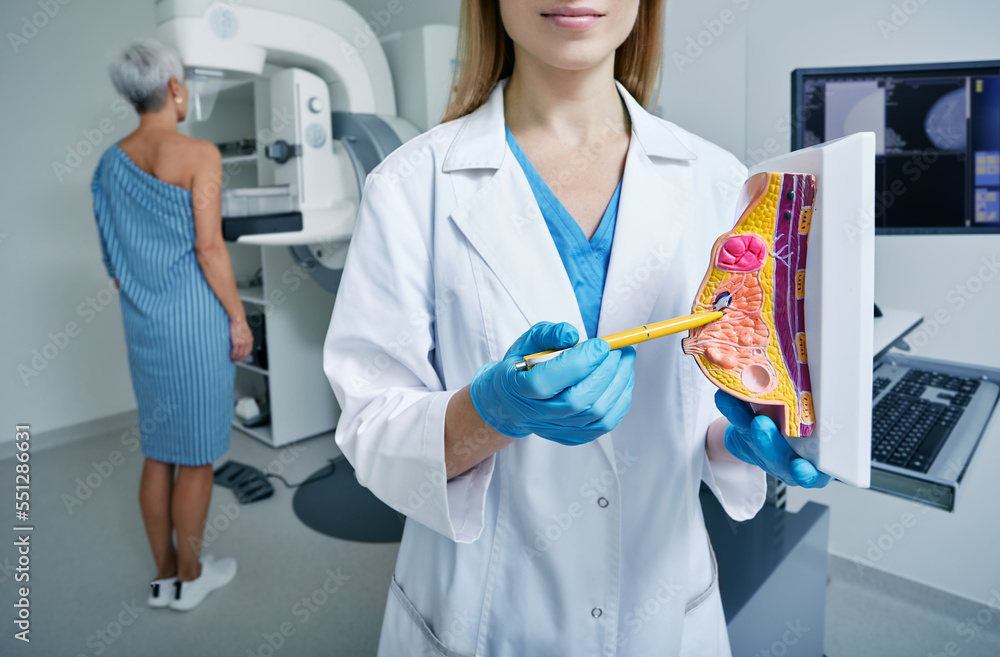 Mammogram. Preventive examination by mammologist using mammograph ...