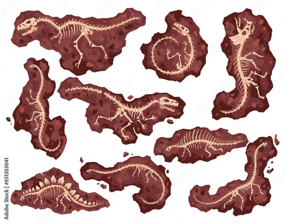 Dinosaur skeleton bones, fossil excavations of archeology isolated set ...