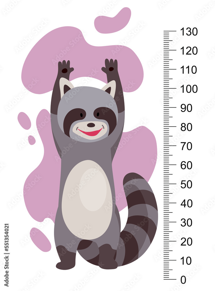 Height measure with growth ruler chart with cute cartoon raccoon animal ...