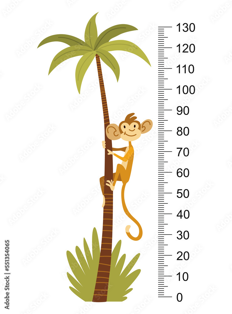 Height measure with growth ruler chart with cute cartoon monkey on palm ...
