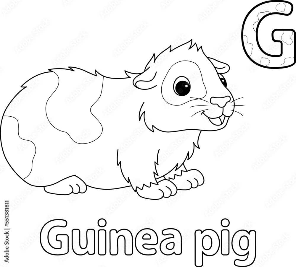 Guinea Pig Alphabet ABC Isolated Coloring Page G Stock Vector | Adobe Stock
