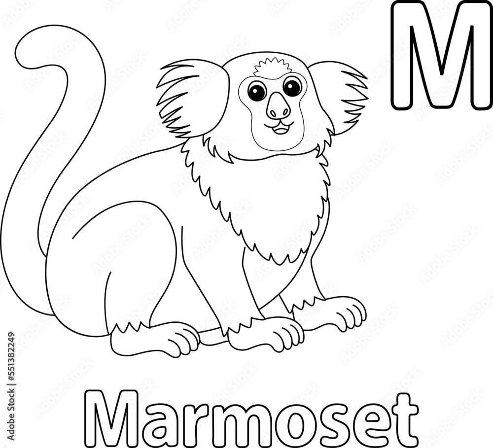 Marmoset Alphabet ABC Isolated Coloring Page Z Stock Vector | Adobe Stock Marmoset Alphabet ABC Isolated Coloring Page Z Stock Vector | Adobe Stock