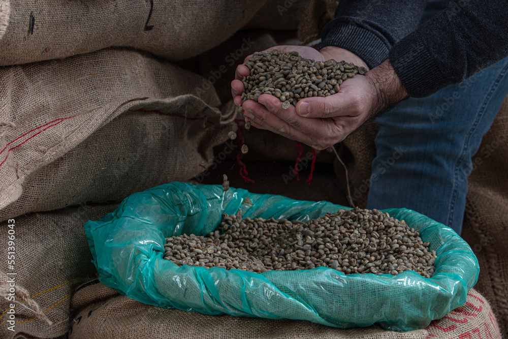 Green coffee beans. Raw coffee pouring from a handful in a bag, against ...