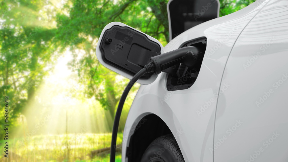 Progressive campaign to increase environmental awareness of electric ...