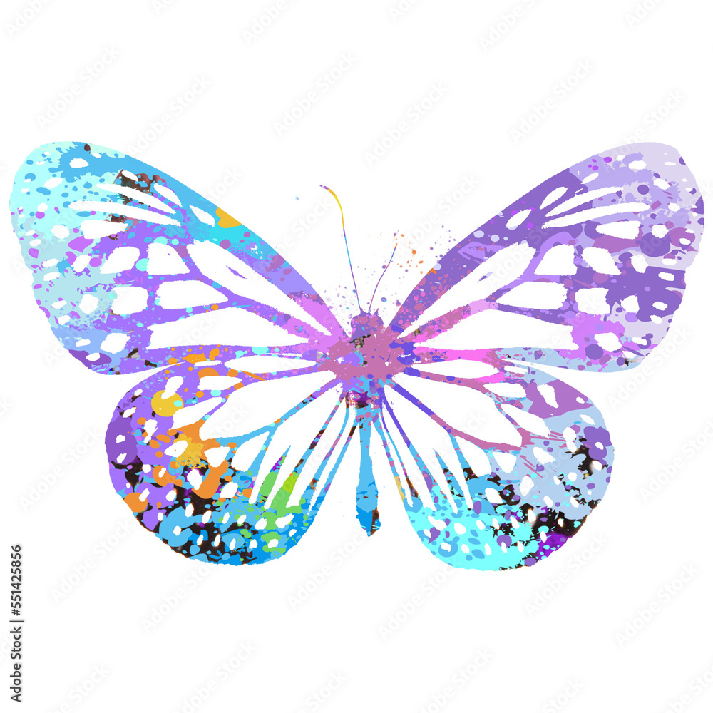 Colorful Butterfly Drawing