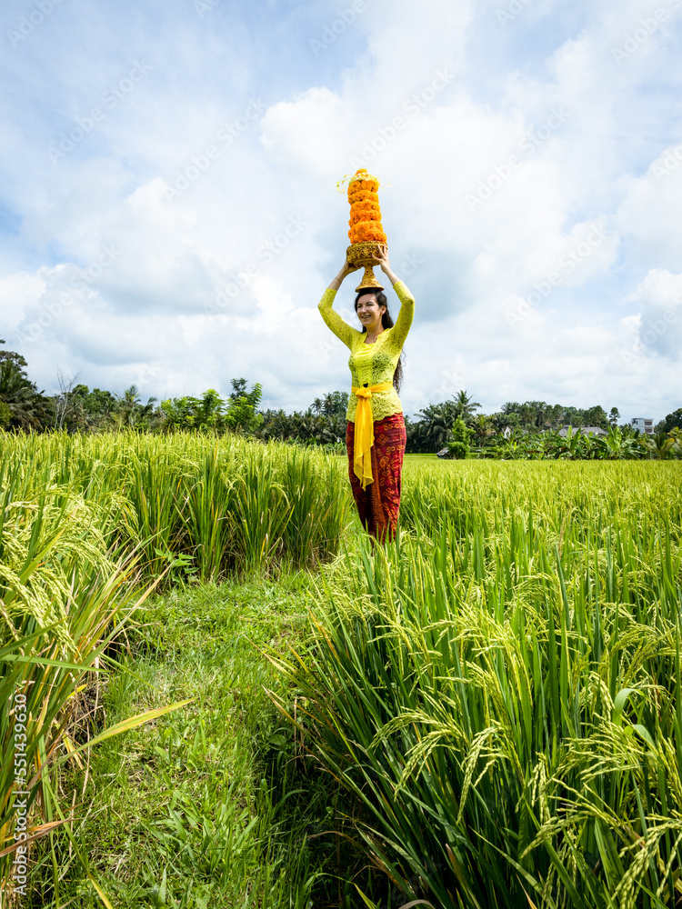 Caucasian woman dressed in traditional Balinese costume carrying god's ...