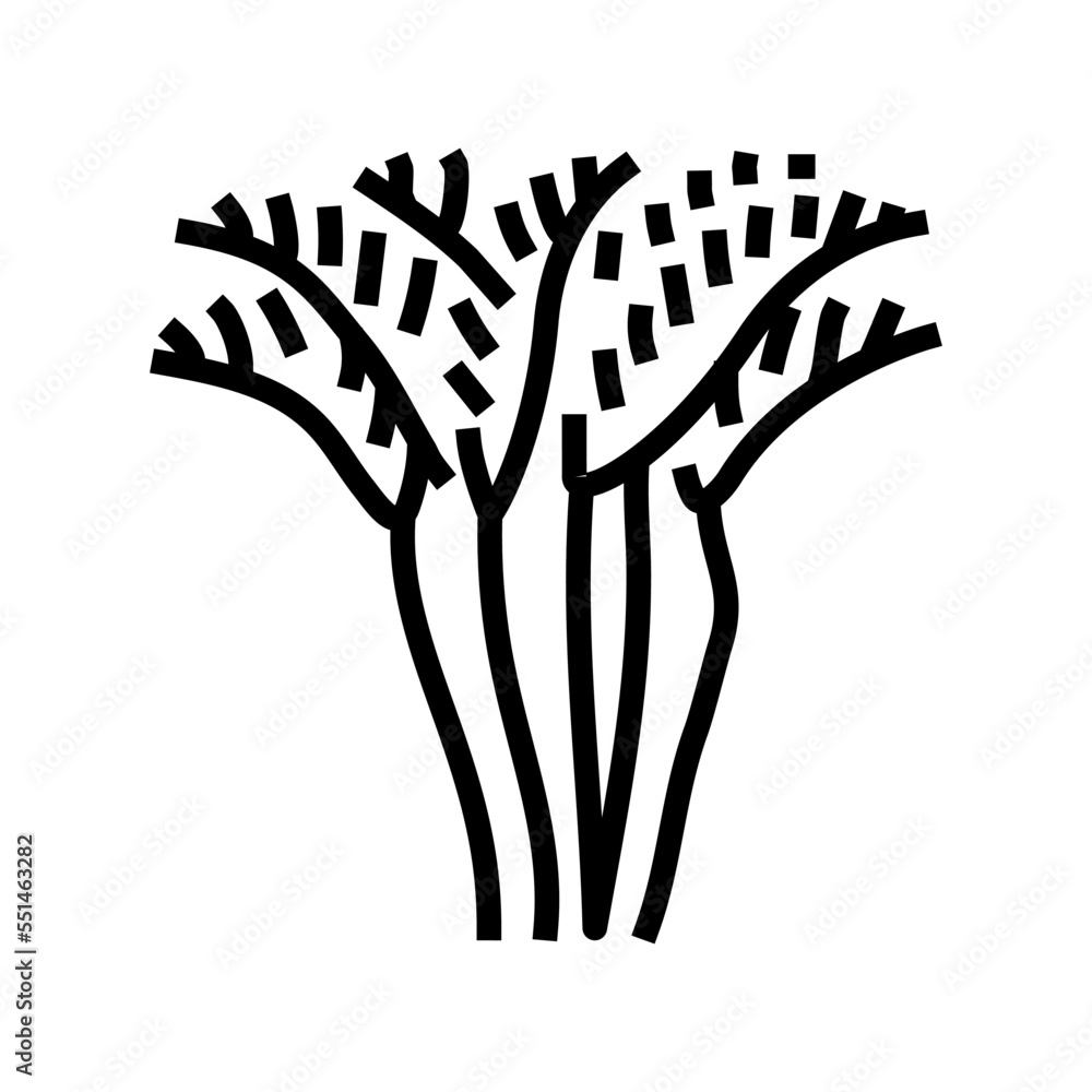 areca palm tree line icon vector. areca palm tree sign. isolated ... areca palm tree line icon vector. areca palm tree sign. isolated ...