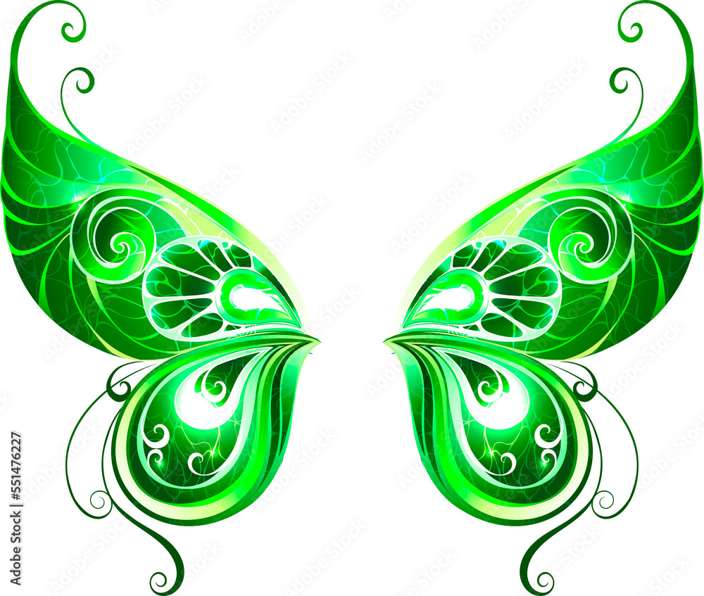 Green Fairy Wings Stock Illustration | Adobe Stock