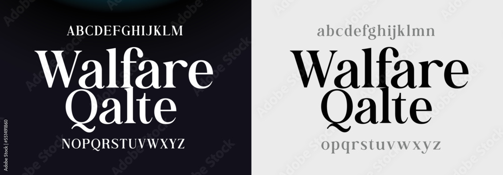 WALFARE QALTE modern, luxury and tech alphabets letter set design ...