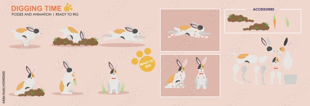 Cute black and white rabbit, bunny eating with accessories ready for ...