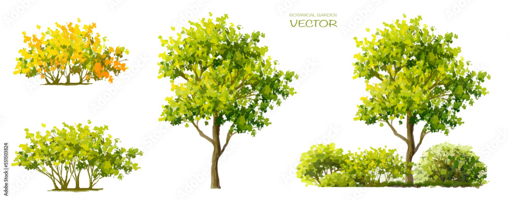 Abstract vector watercolor ,tree or forest side view isolated on white ...