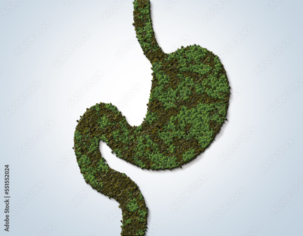 Stomach shape made of green trees and piece of soil land. Green stomach ...