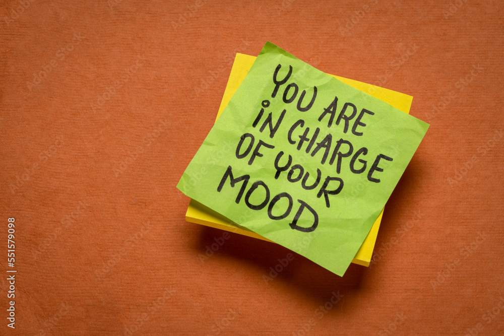 you are in charge of your mood - handwritten reminder note, mindset and ...