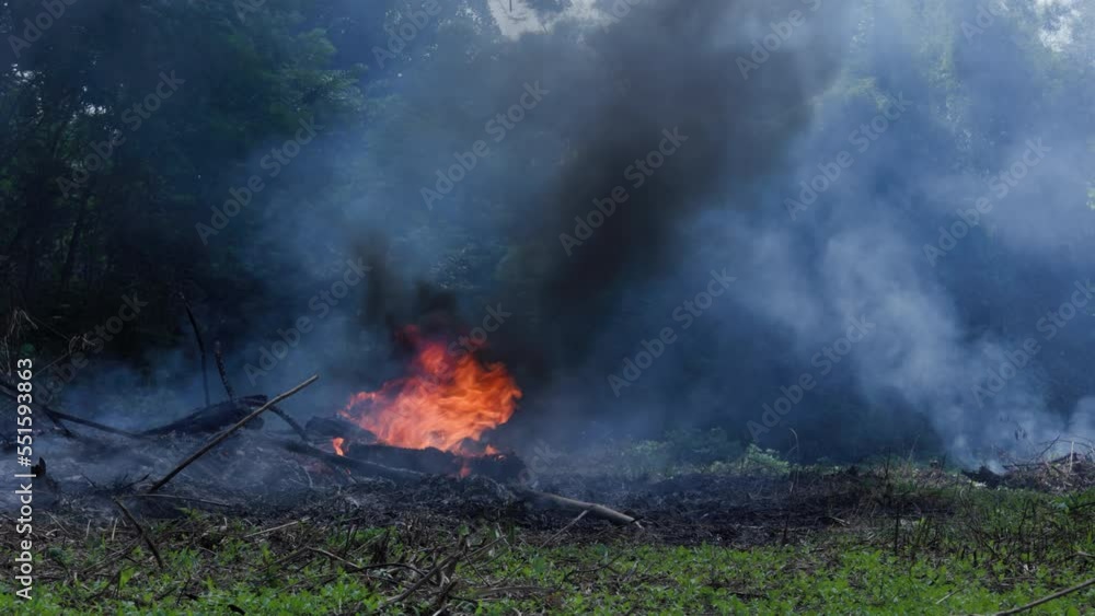 Destruction of jungle forest for farmland. Fire and smoke in the forest ...
