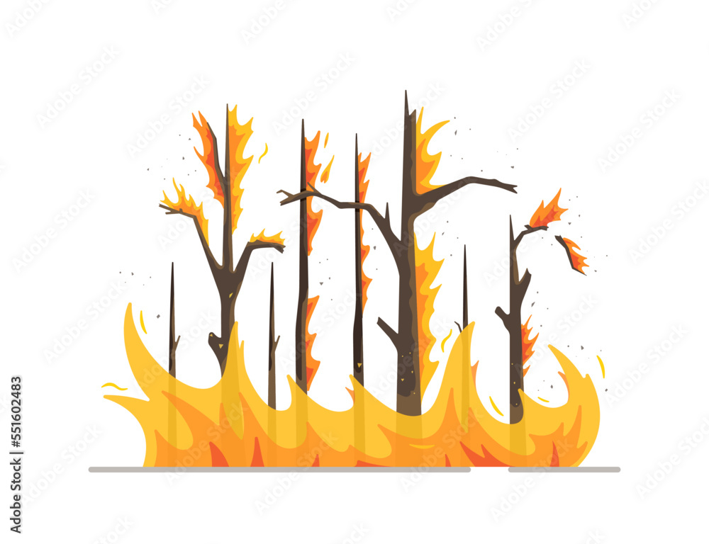 Vector illustration of wildfire. Tree disaster. Wildfire wildfire burn ...