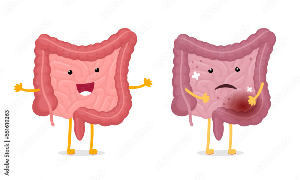 Intestines characters healthy and unhealthy comparison. Human intestine ...