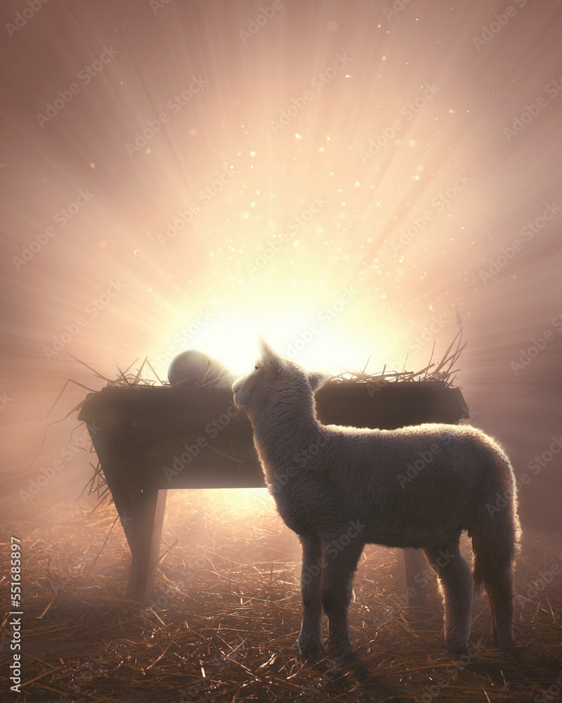 Baby lamb with baby Jesus Stock Photo | Adobe Stock