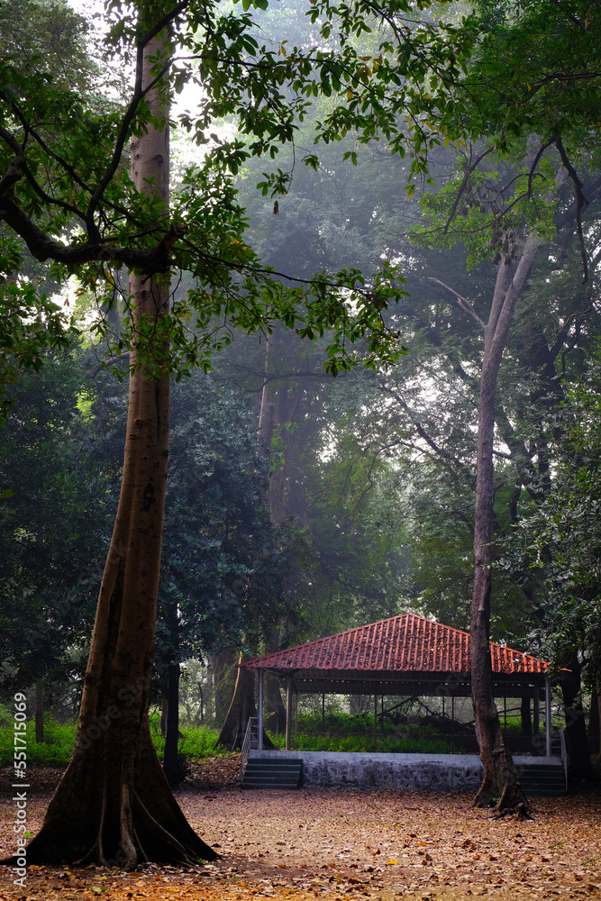 04 December 2022, Pune, India, Empress Botanical Garden, a green ...