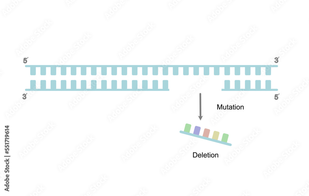 Dna Mutation Deletion