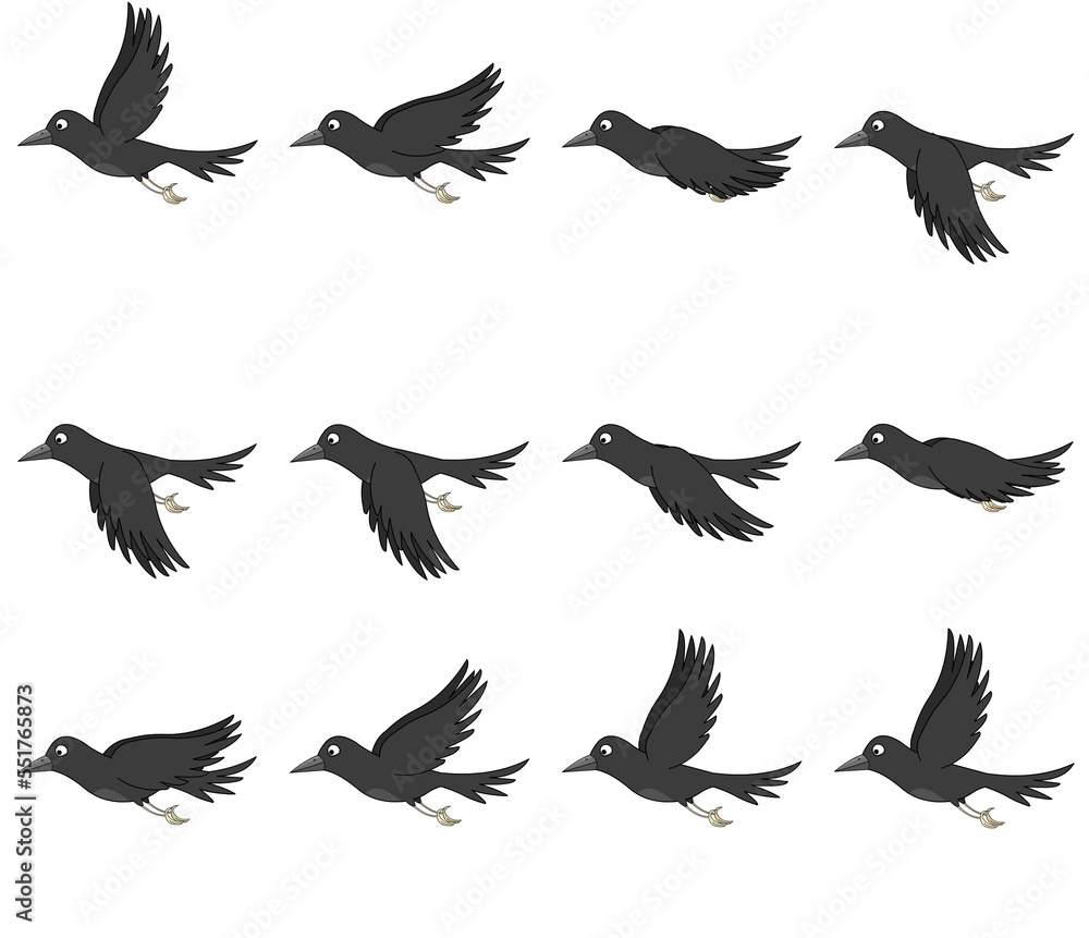 Crow Flying Animation