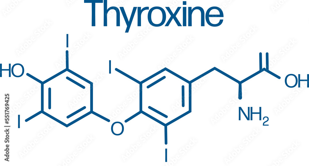 Thyroxine, thyroid hormone molecular structure, PNG skeletal formula. Stock Illustration | Adobe ...