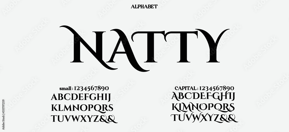 Digital modern with small and capital alphabet font and vector ...