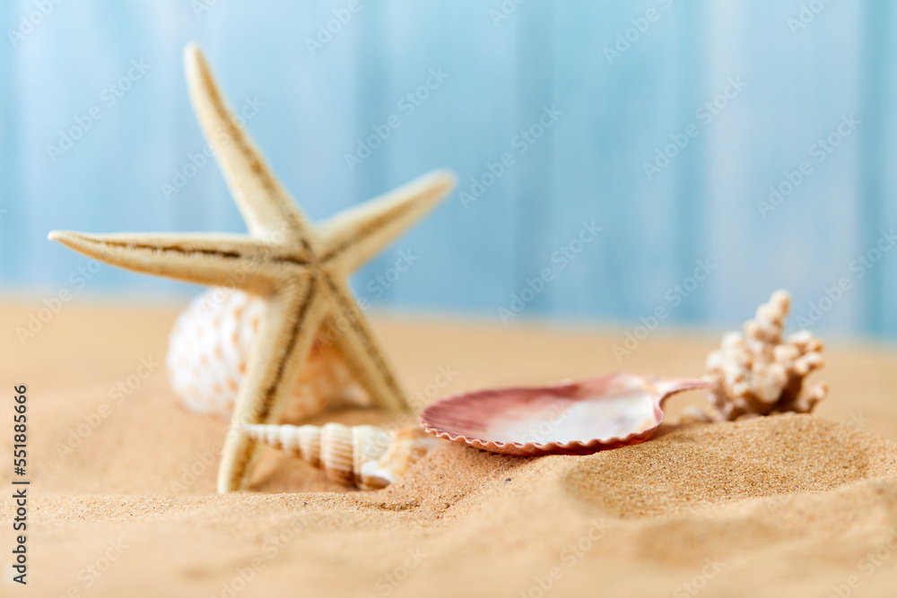 Sea background with a variety of shells Stock Photo | Adobe Stock