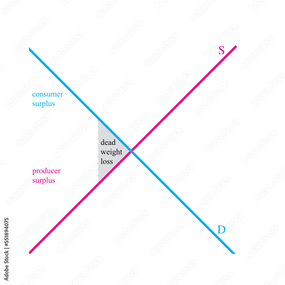 Economics Graph - Surplus at Price Floor in Colour for Dark Background ...