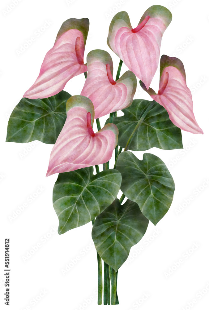 Watercolor painting of pink Flamingo flowers bouquet. Stock ...