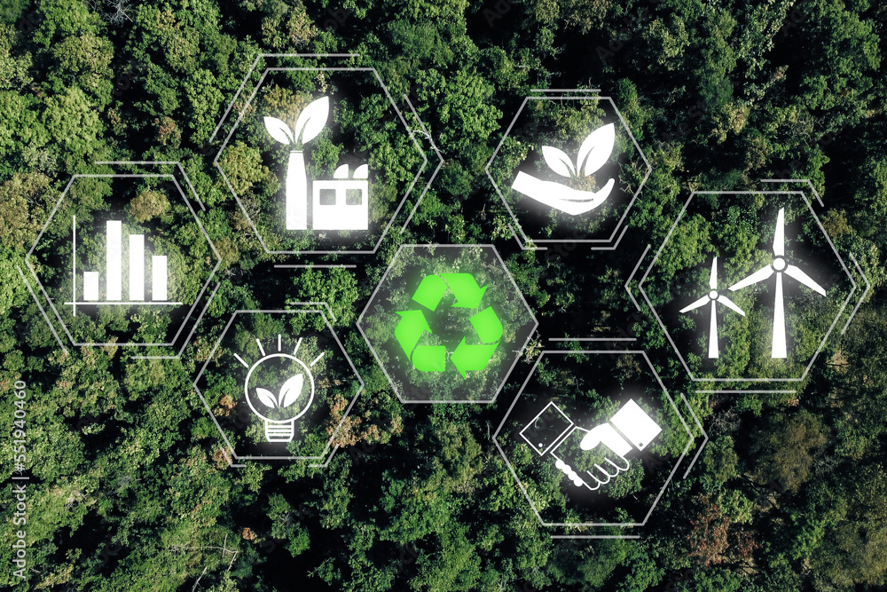 ESG concept of environmental, Green forrest background with ESG icon on ...
