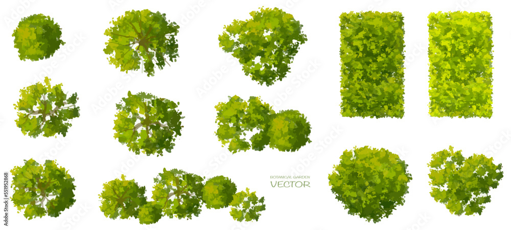 Vector set of tropical green tree top view isolated on white background ...