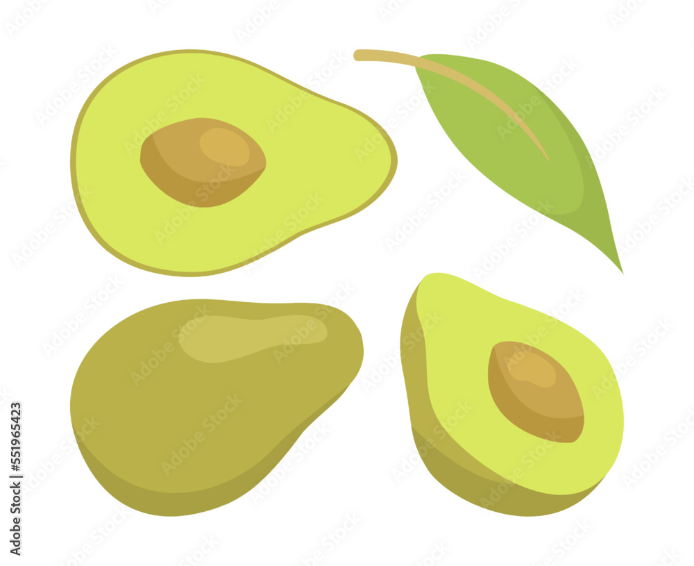Halves of avocado with big seed vector illustrations set. Collection of ...