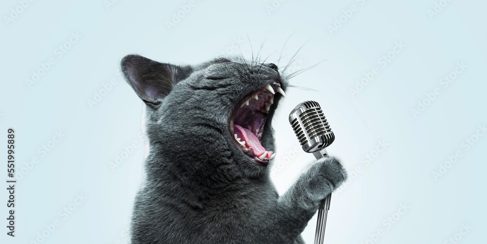 Funny emotional cat artist singing and holding a vintage metal ...