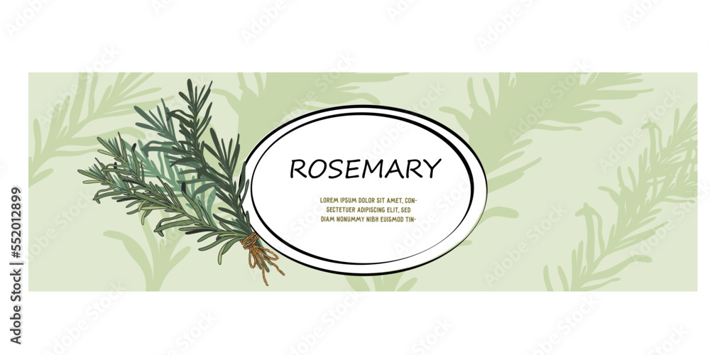Rosemary food label or horizontal banner hand drawn design for food ...