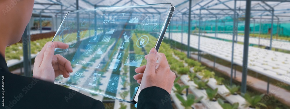 Futuristic smart agriculture,businessman using smart tablet,organic ...
