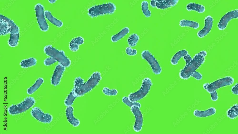 Bacteria rain down on a green screen. 3D animation. Scientific concept ...