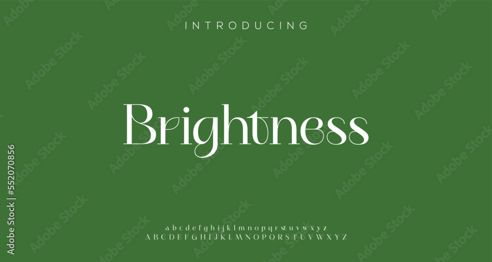BRIGHTNESS Minimal luxury typo Font and Modern tech Typography urban ...