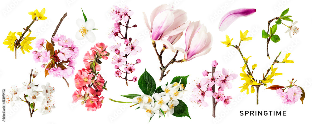 Different spring flowers blossom set. PNG with transparent background ...
